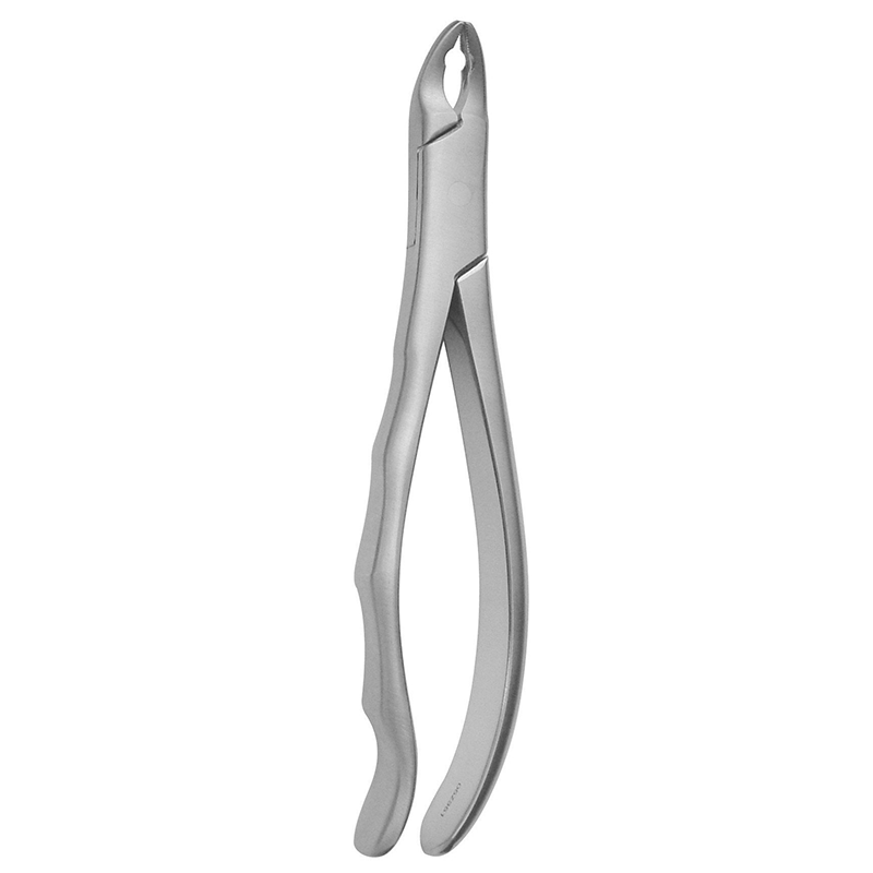 DAVIER PEDO DENTS SUPÉRIEURES N.101-BC - New Med Plus